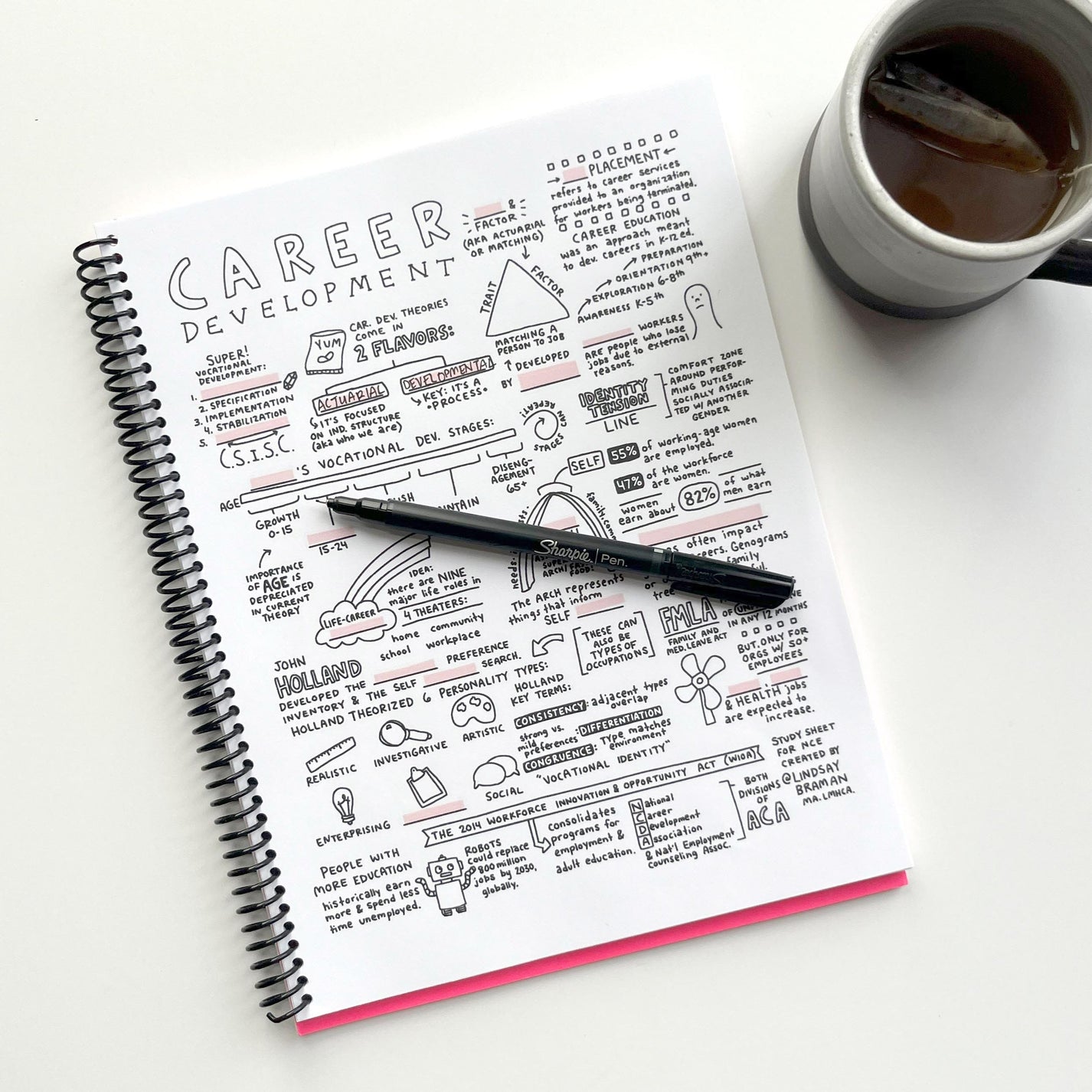 NCE Visual Study Guide & Activity Book: Spiral-Bound Test Prep for the ...