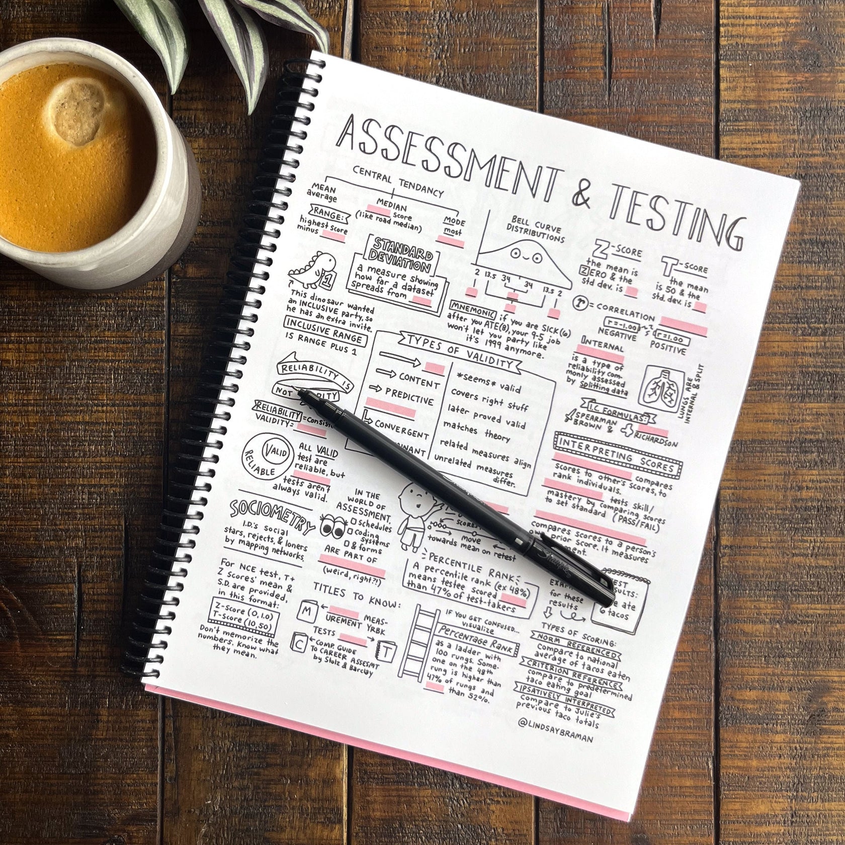 NCE Visual Study Guide & Activity Book: Spiral-Bound Test Prep for the ...