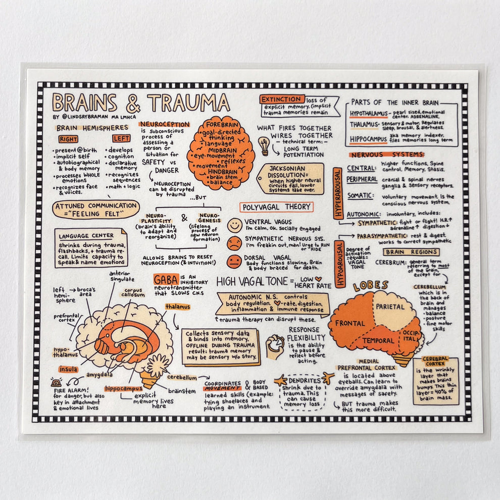 Worksheet Print: Trauma & the Brain | A Laminated Handout – lindsaybraman