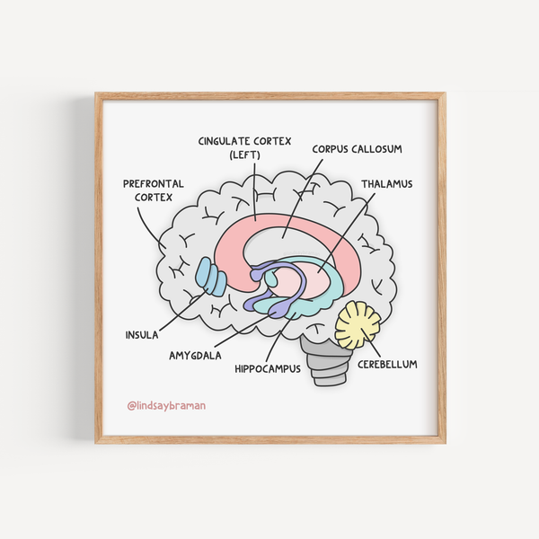 Art Print: Learning About the Brain (Anatomy) – lindsaybraman